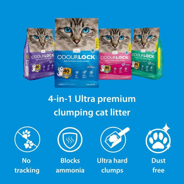 INTERSAND Odourlock Unscented Cat Litter – Pets Villa