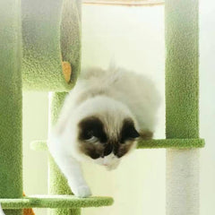MARTINA Plant Style Cat Climbing Tree | Pets Villa