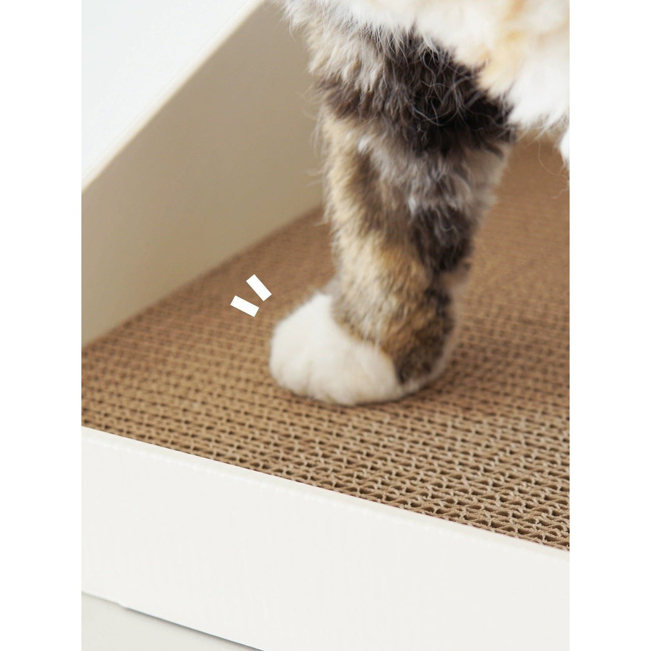 Get the Best Cat Scratchers & Trees Online | Pets Villa – Page 3