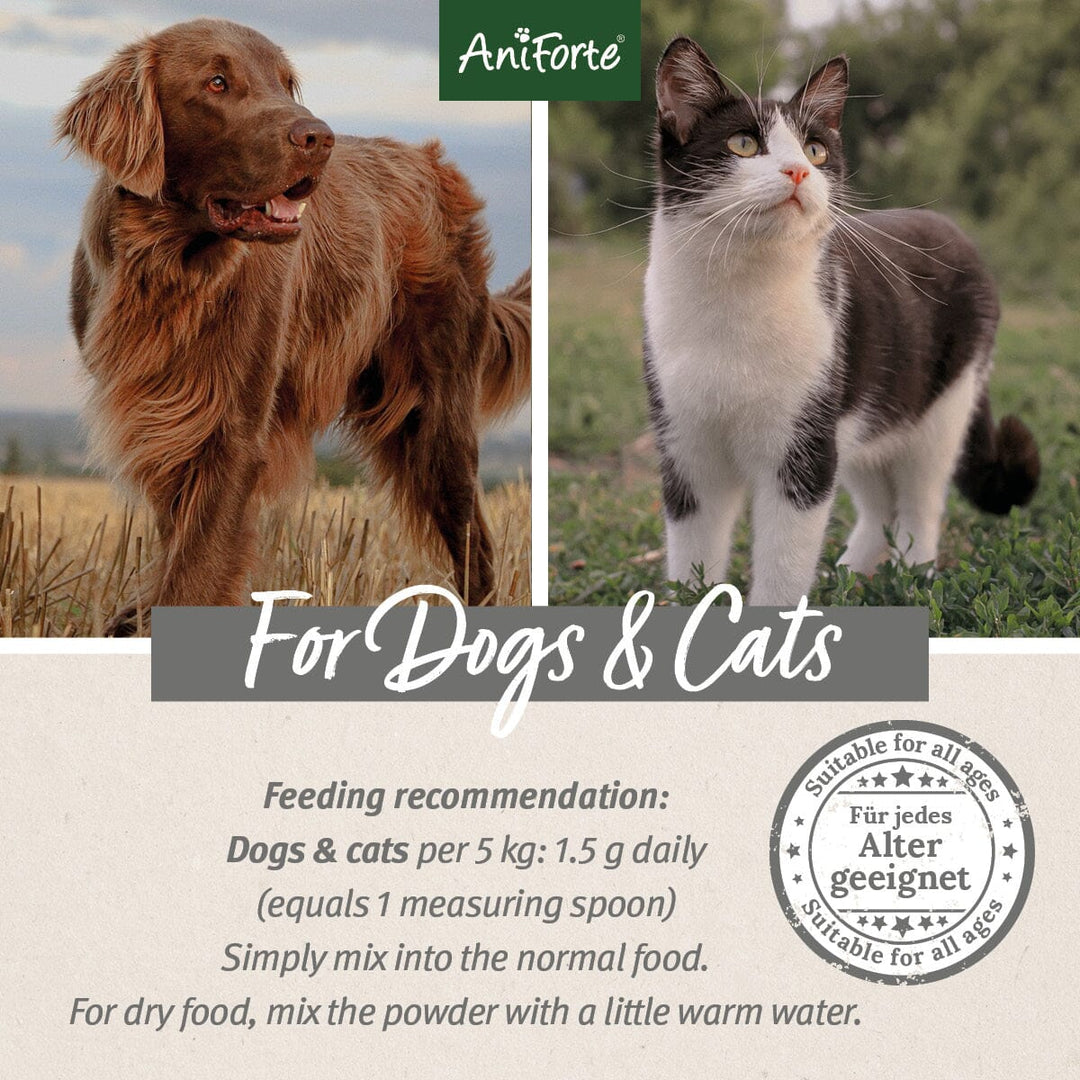 ANIFORTE Bovine Blood Powder 250g – Pets Villa
