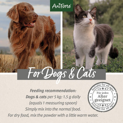 ANIFORTE Bovine Blood Powder 250g – Pets Villa