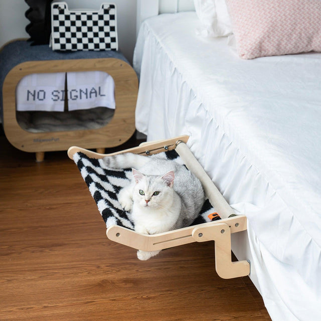 Give Your Cat a Cozy and Comfortable Bed - Pets Villa