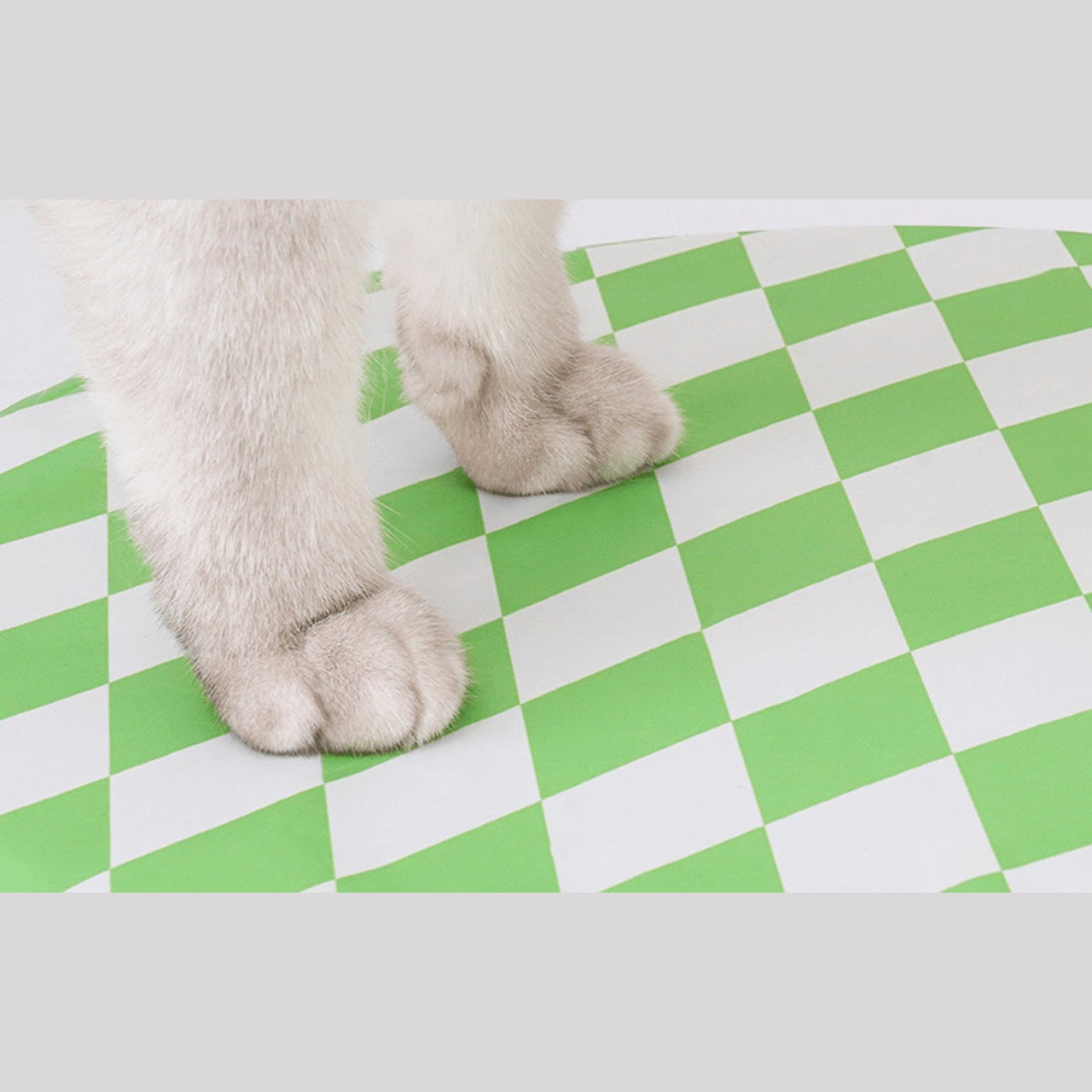 Cooling Mats | Keep your Pet Cool | Pets Villa